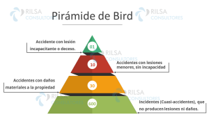 Frank Bird-Teoría de la Causalidad – Rilsa Consultores